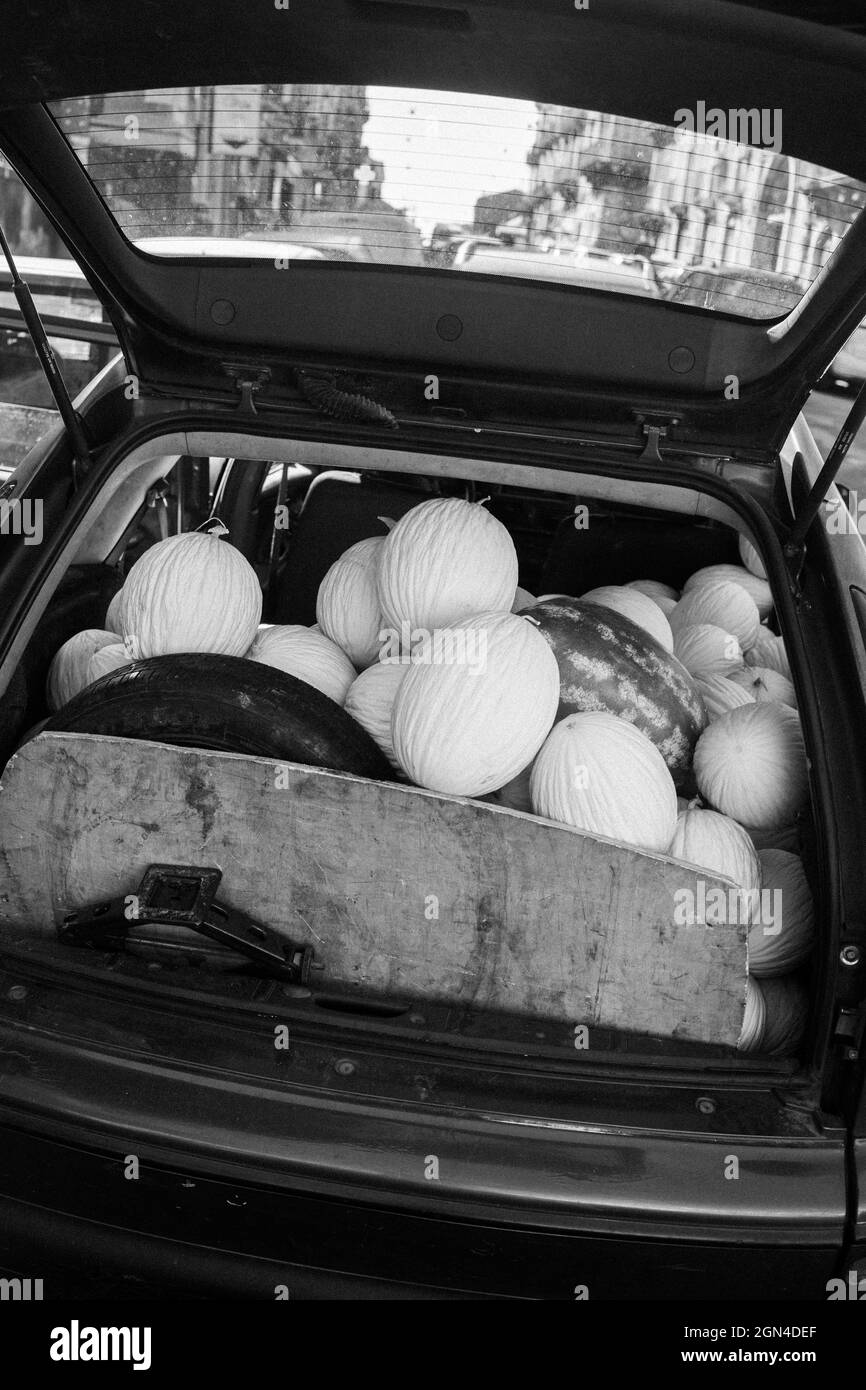 Blood fish Black and White Stock Photos & Images - Alamy