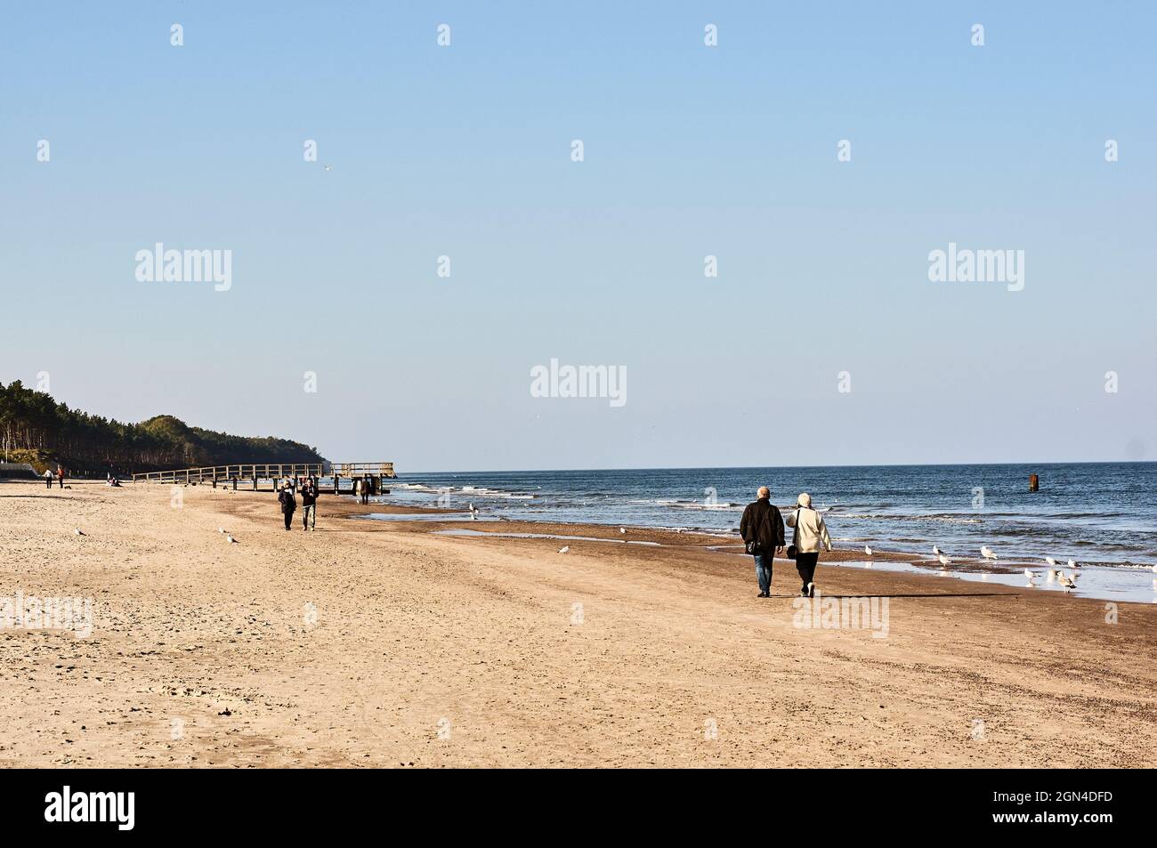 SARBINOWO, POLAND - Oct 16, 2017: The people and seagulls on the sand ...