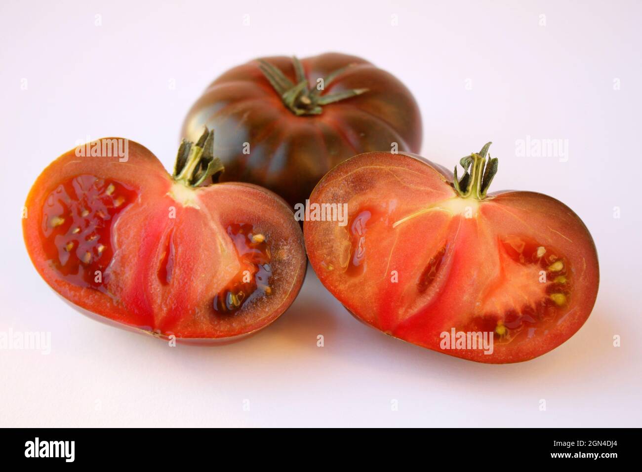 Tomato primora isolated on light background Stock Photo - Alamy