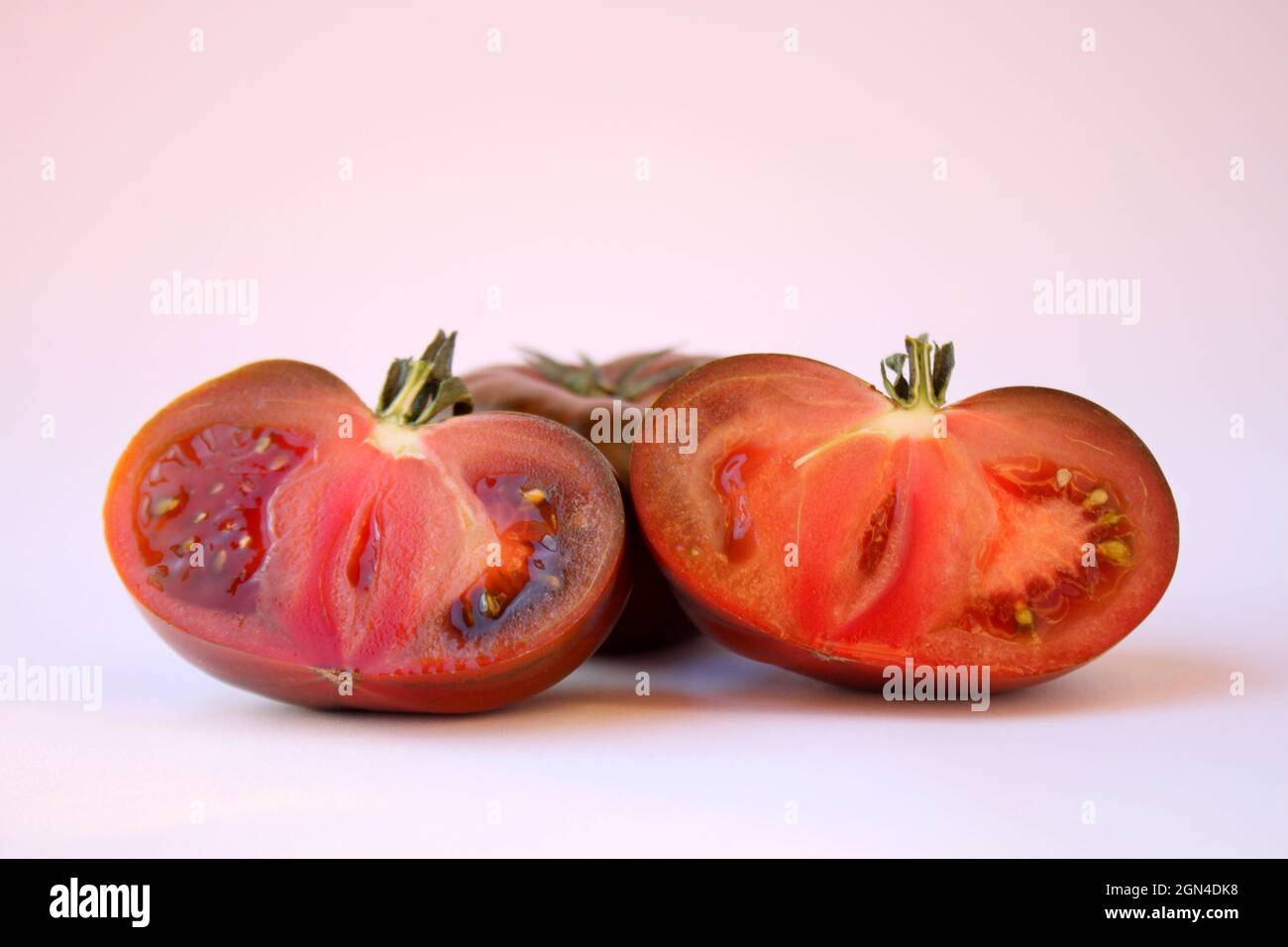 Tomato primora isolated on light background Stock Photo - Alamy