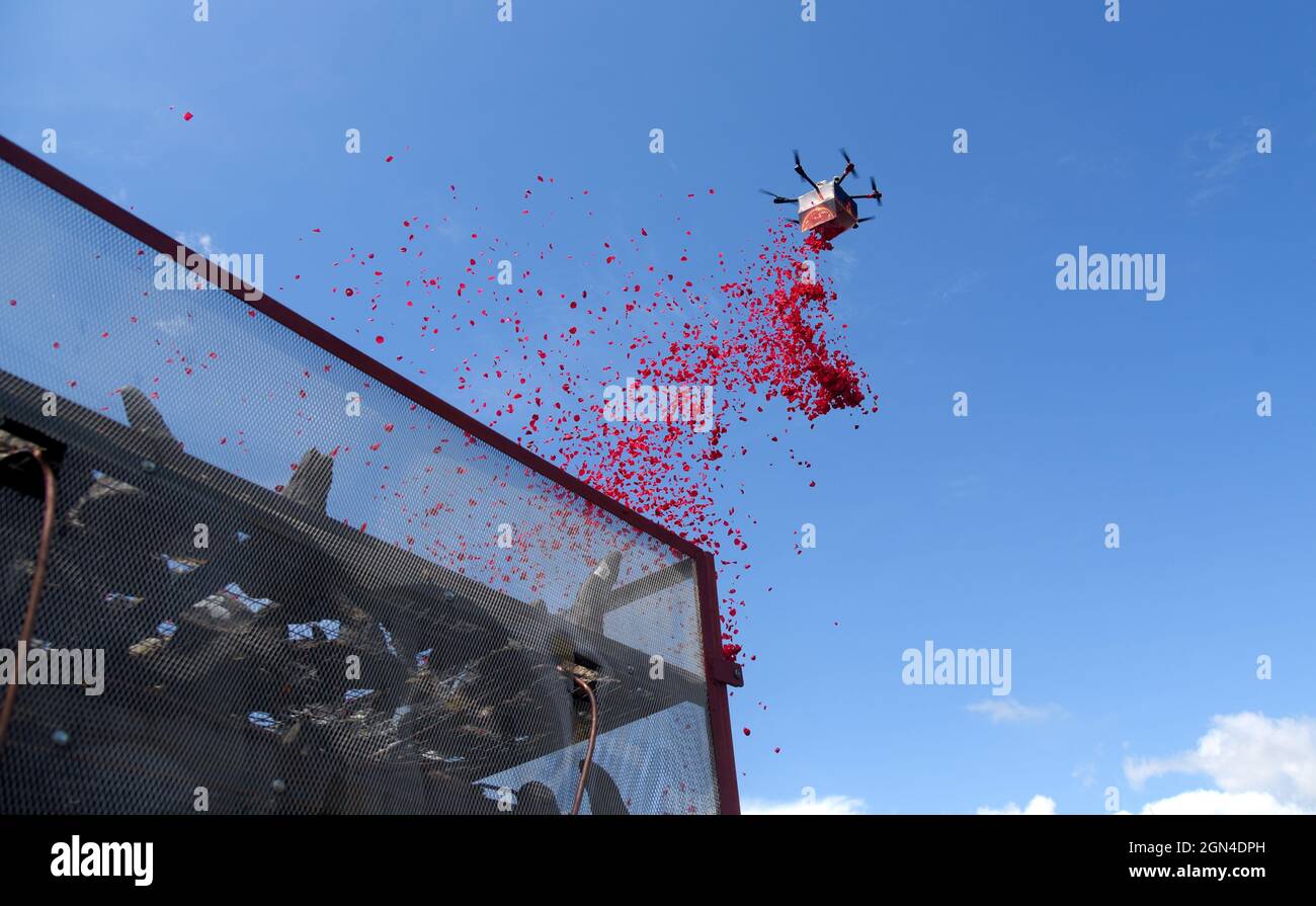 State flower of assam hi-res stock photography and images - Alamy