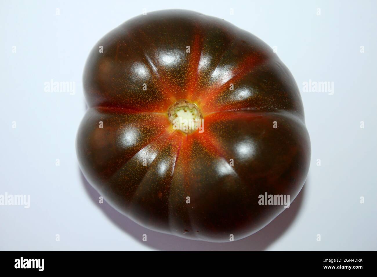 Primora tomato hi-res stock photography and images - Alamy