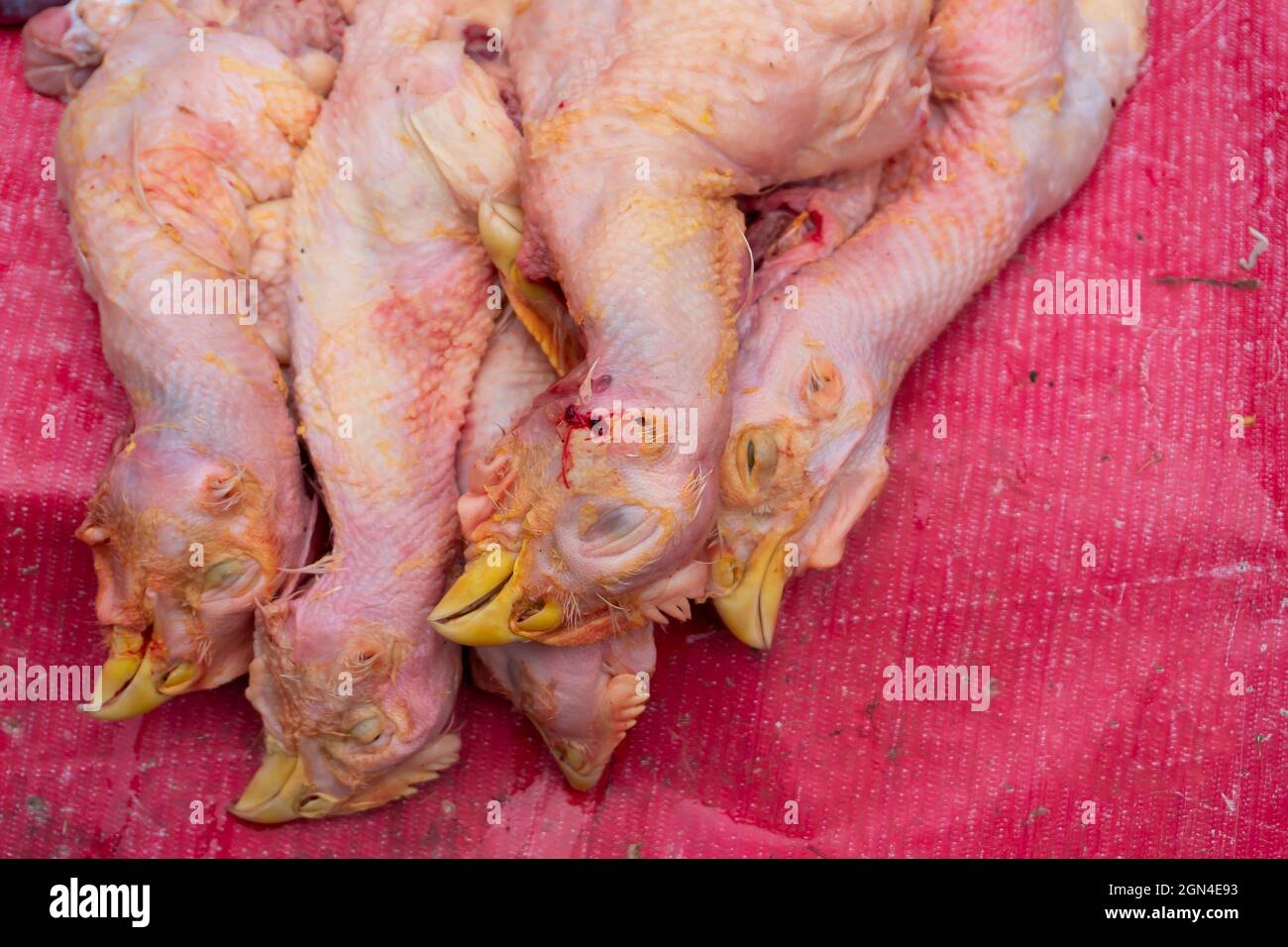 Chicken flesh put up on roadside display for sale. At Territy Bazar ...
