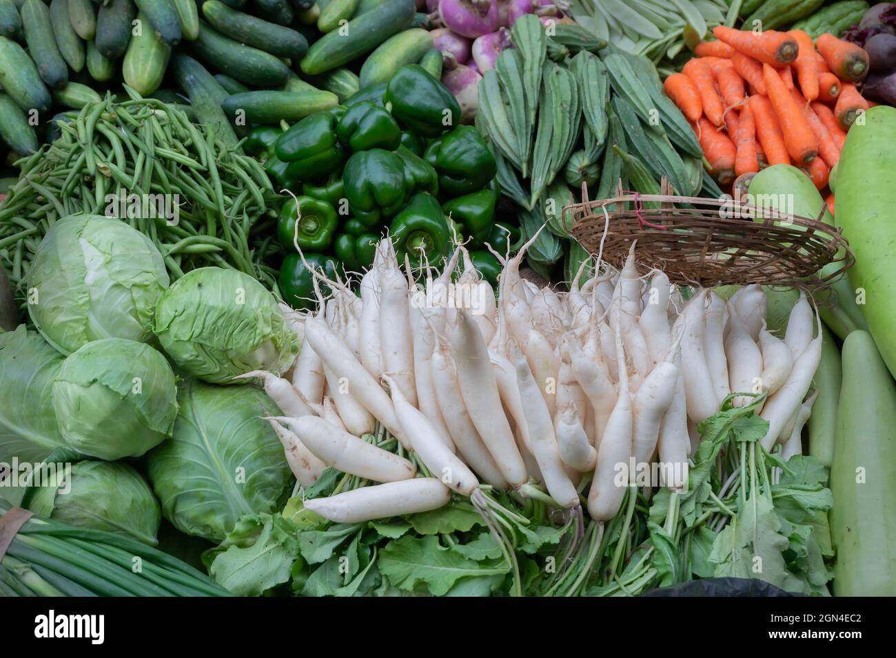 Top view of Radish, Raphanus sativus, commonly known as Mulo or Mula ...