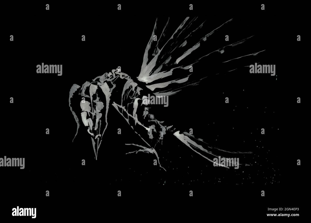 0156- Brush and Ink - Undead Rabbit Bird Stock Photo - Alamy