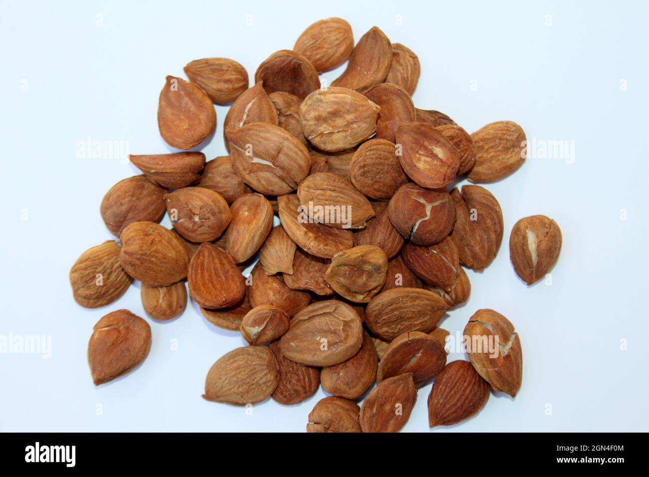 Apricot kernel nucleus isolated on white background Stock Photo - Alamy