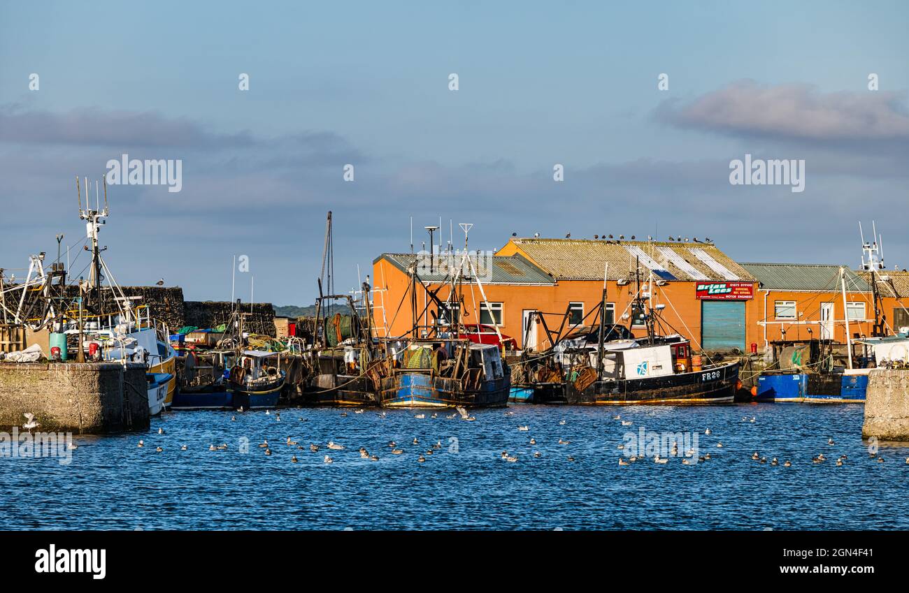 Fishing boat in port seton hi-res stock photography and images - Alamy