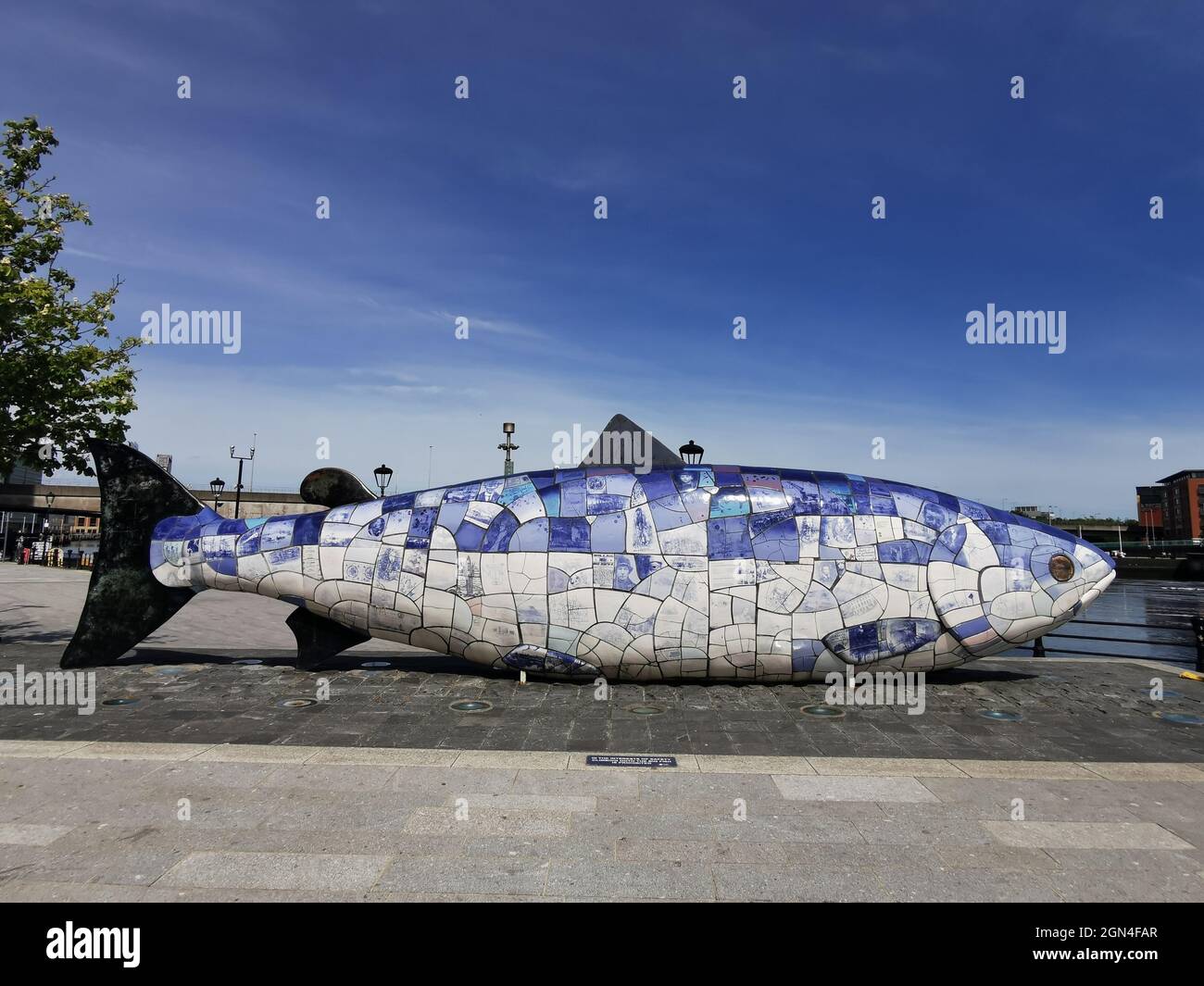 The salmon of knowledge the big fish hi-res stock photography and ...