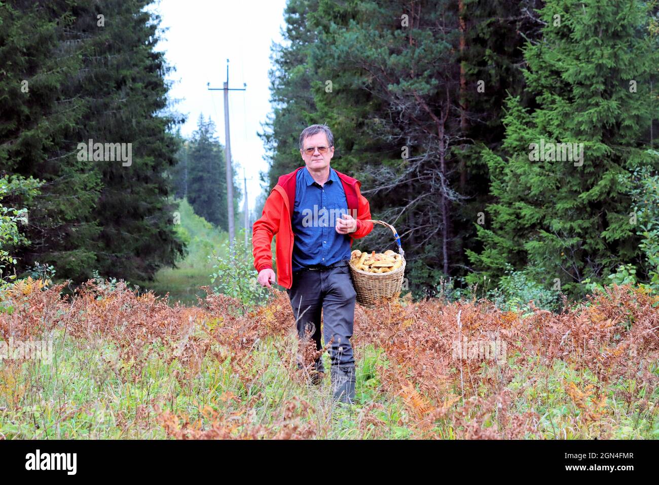 Wilted greenery hi-res stock photography and images - Alamy