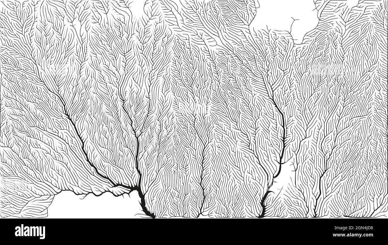 Growth pattern. Generative branching structure. Organic net of vessels ...