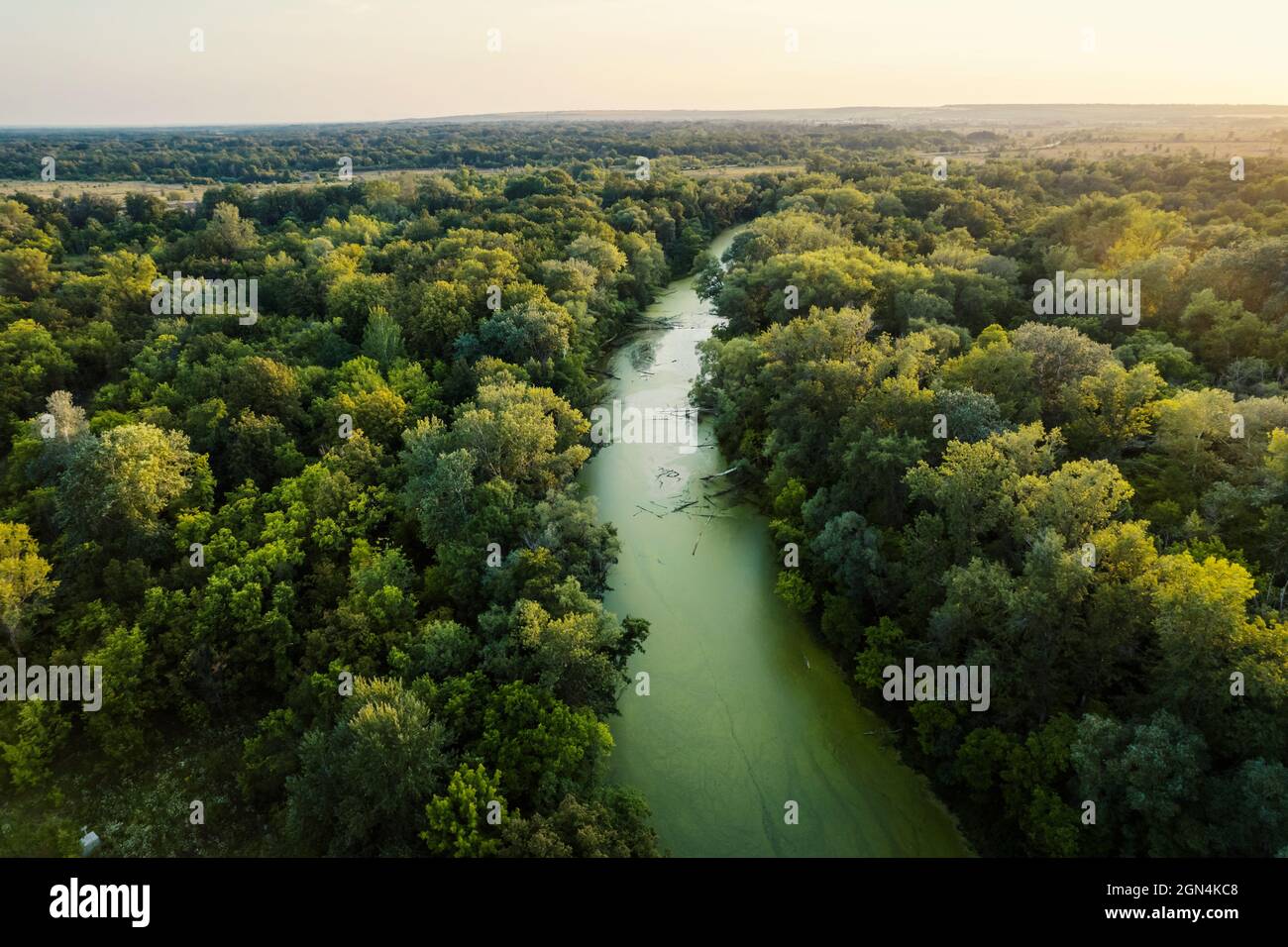 River in forest Stock Photo - Alamy