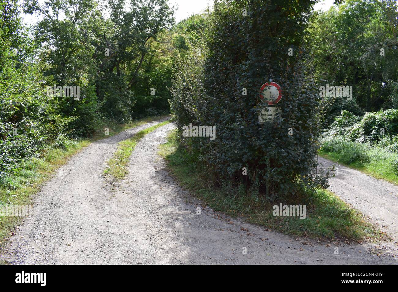 no entry sign for one of the way, almost invisible Stock Photo - Alamy