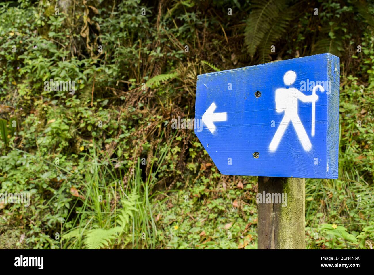 Sign indicating a hiking trail Stock Photo - Alamy