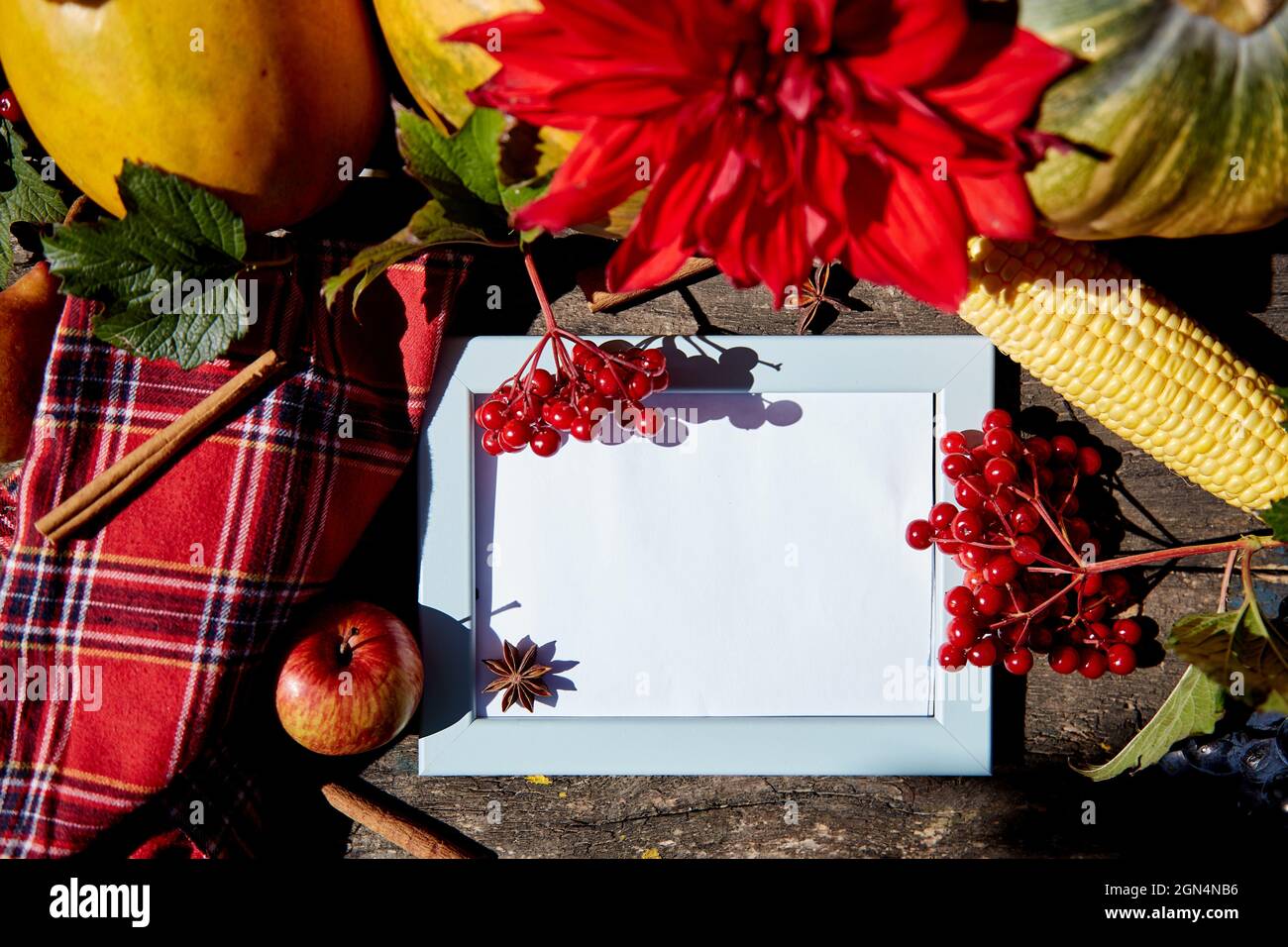 Autumn creative mood board concept: fruits and vegetables, pumpkin ...