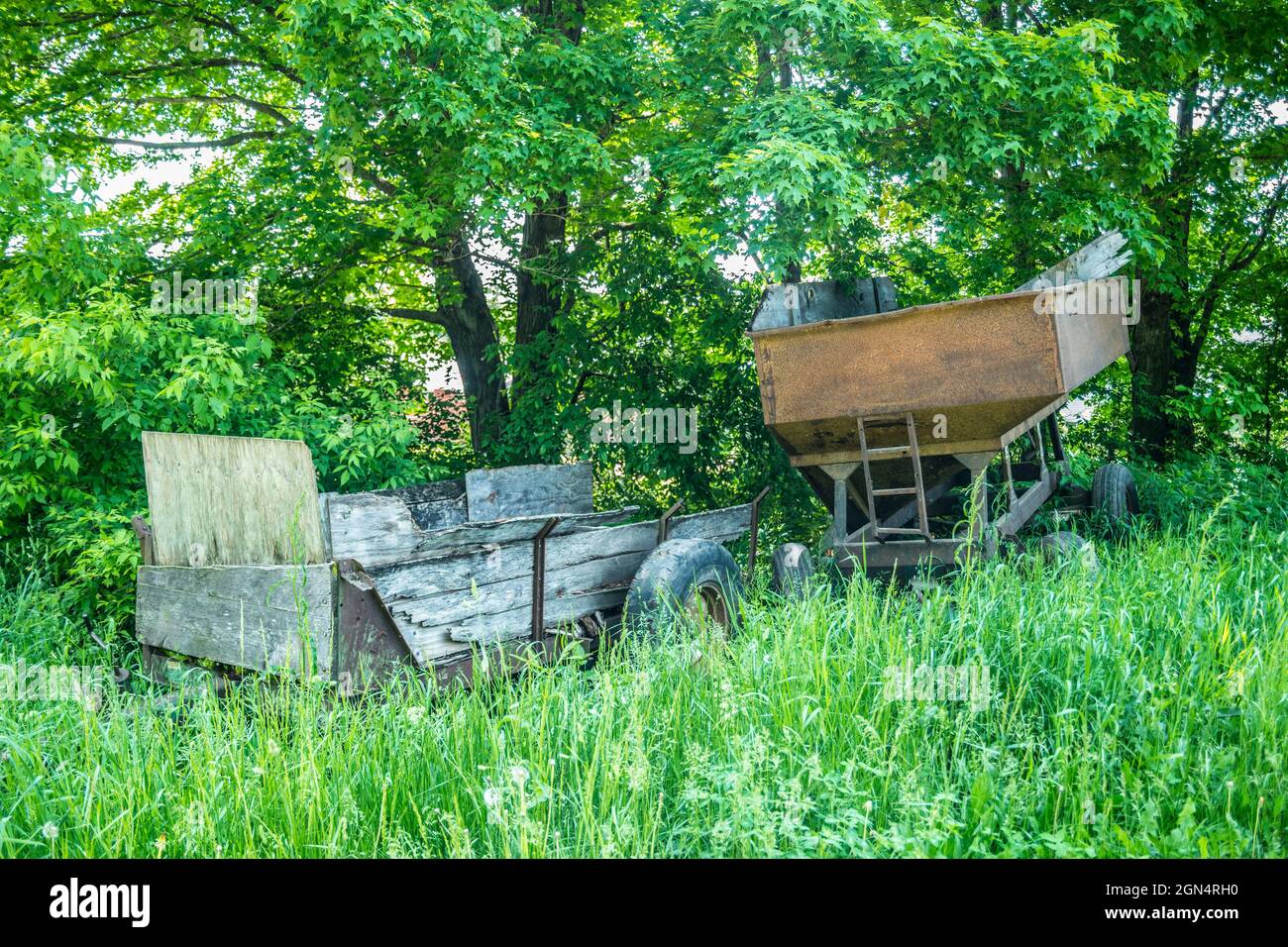 Overgrown old farm equipment hi-res stock photography and images - Alamy