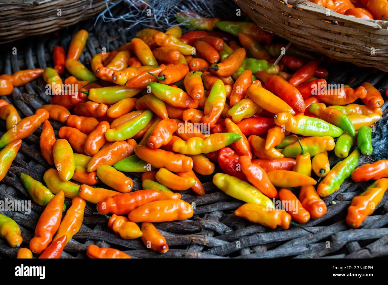 Yellow smelling pepper for sale at the famous and grandiose São Joaquim ...
