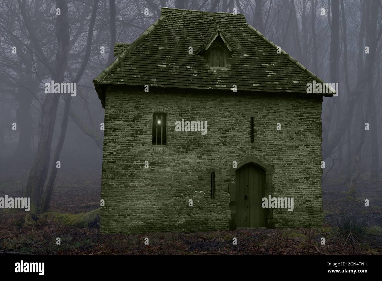 This fantasy image of a spooky house in a misty forest is based on the ...