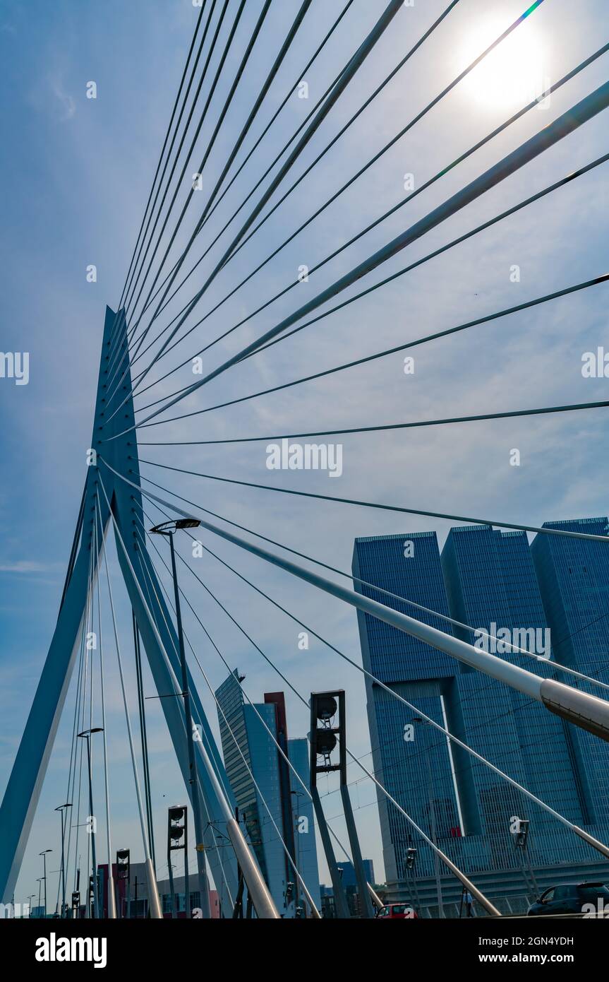 Architectural leading converging lines of structural cables of Erasmus ...