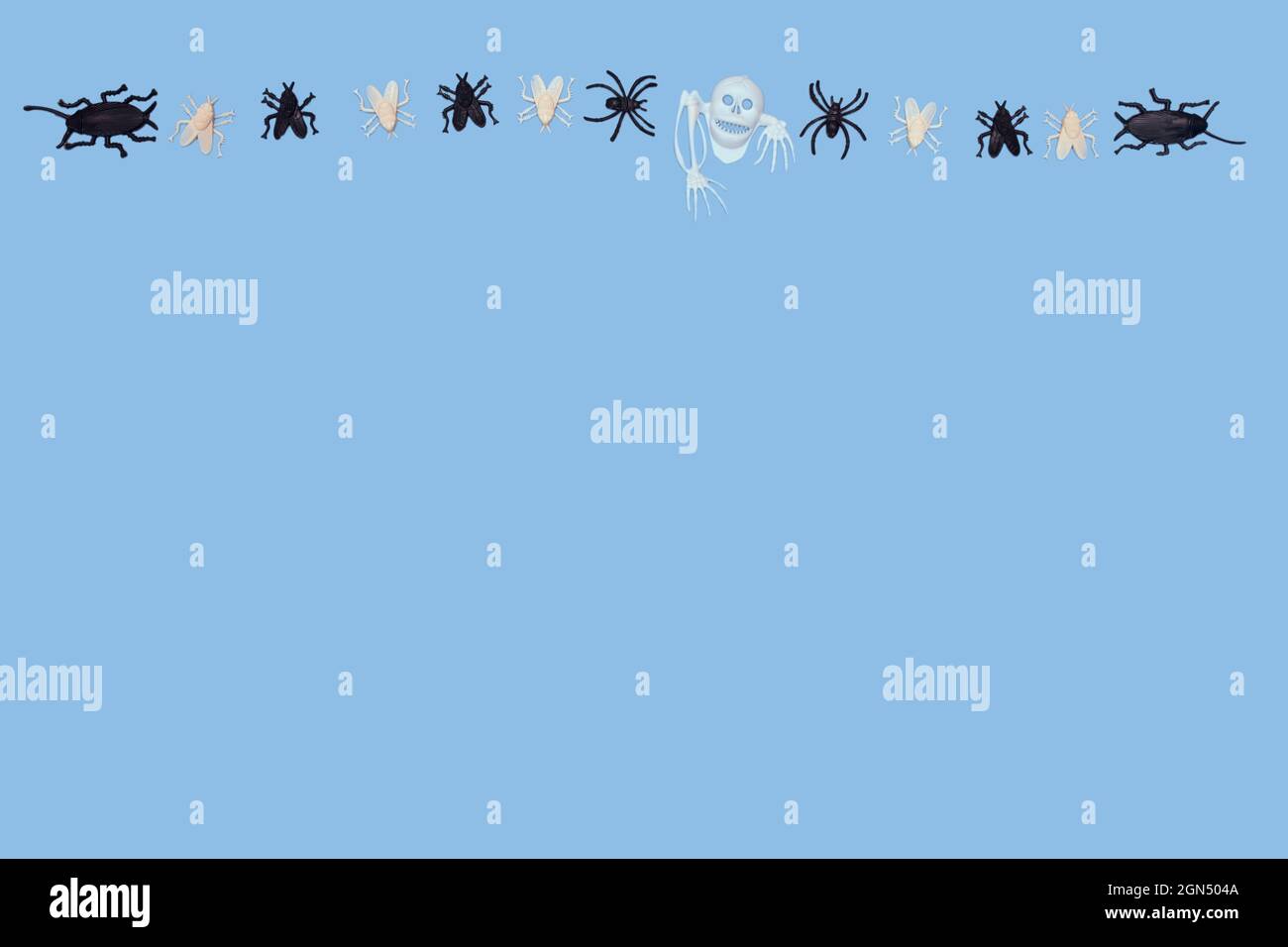 plastic skeletons, white and black, insects, fly, spider on a blue ...