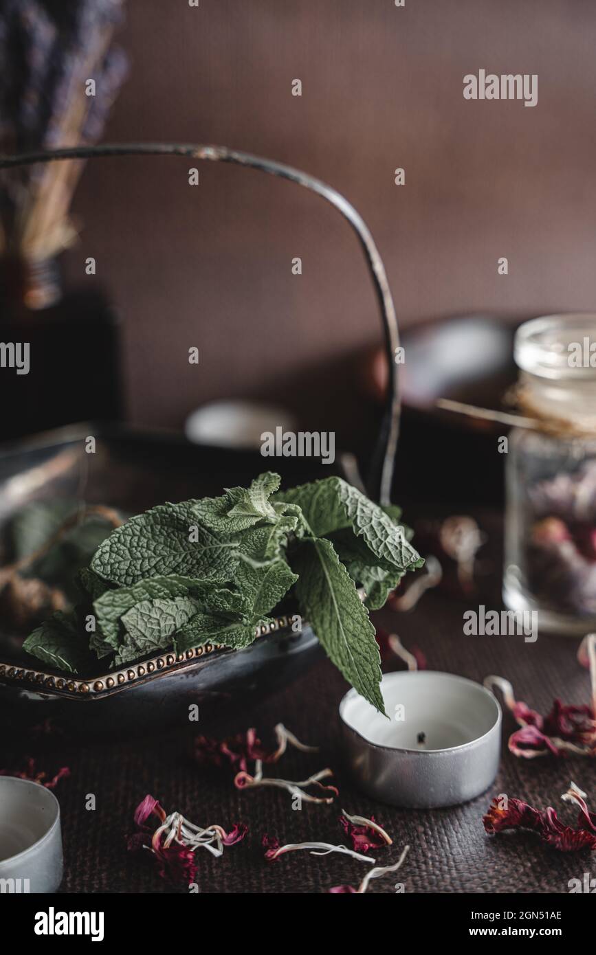 Bunch of fresh mint in a metal rustic vintage old bowl on a wiccan ...