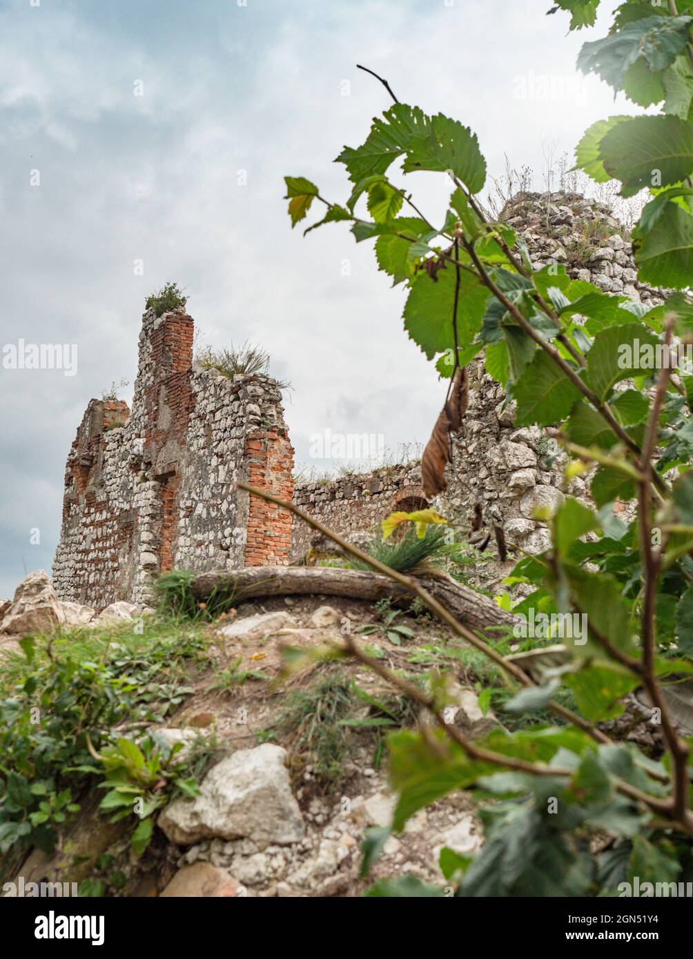Ruin of Devicky castle on the hill Devin above Pavlov and Dolni ...