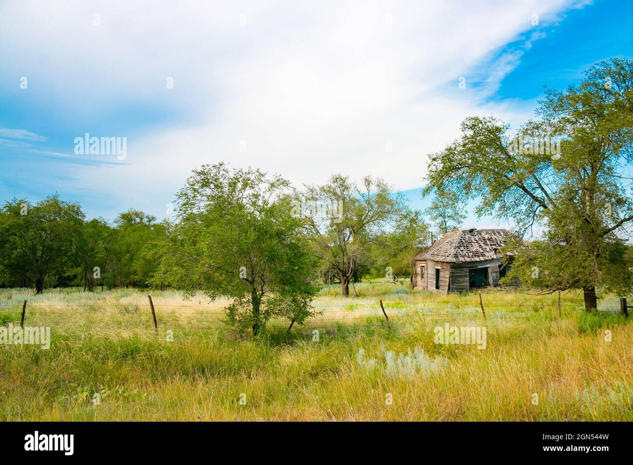 tumbledown abandoned wooden shack on Route 66 USA Stock Photo - Alamy