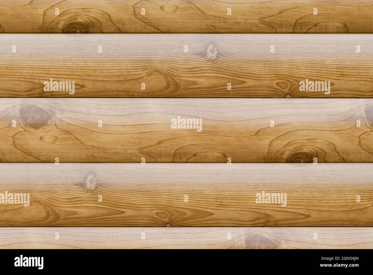 Rounded structure of a tree hi-res stock photography and images - Alamy