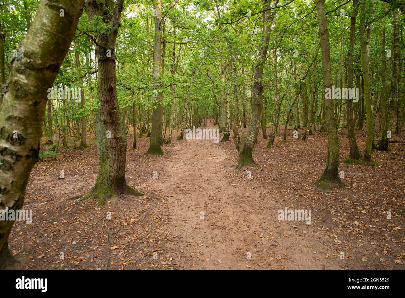 Wirral landscape hi-res stock photography and images - Alamy