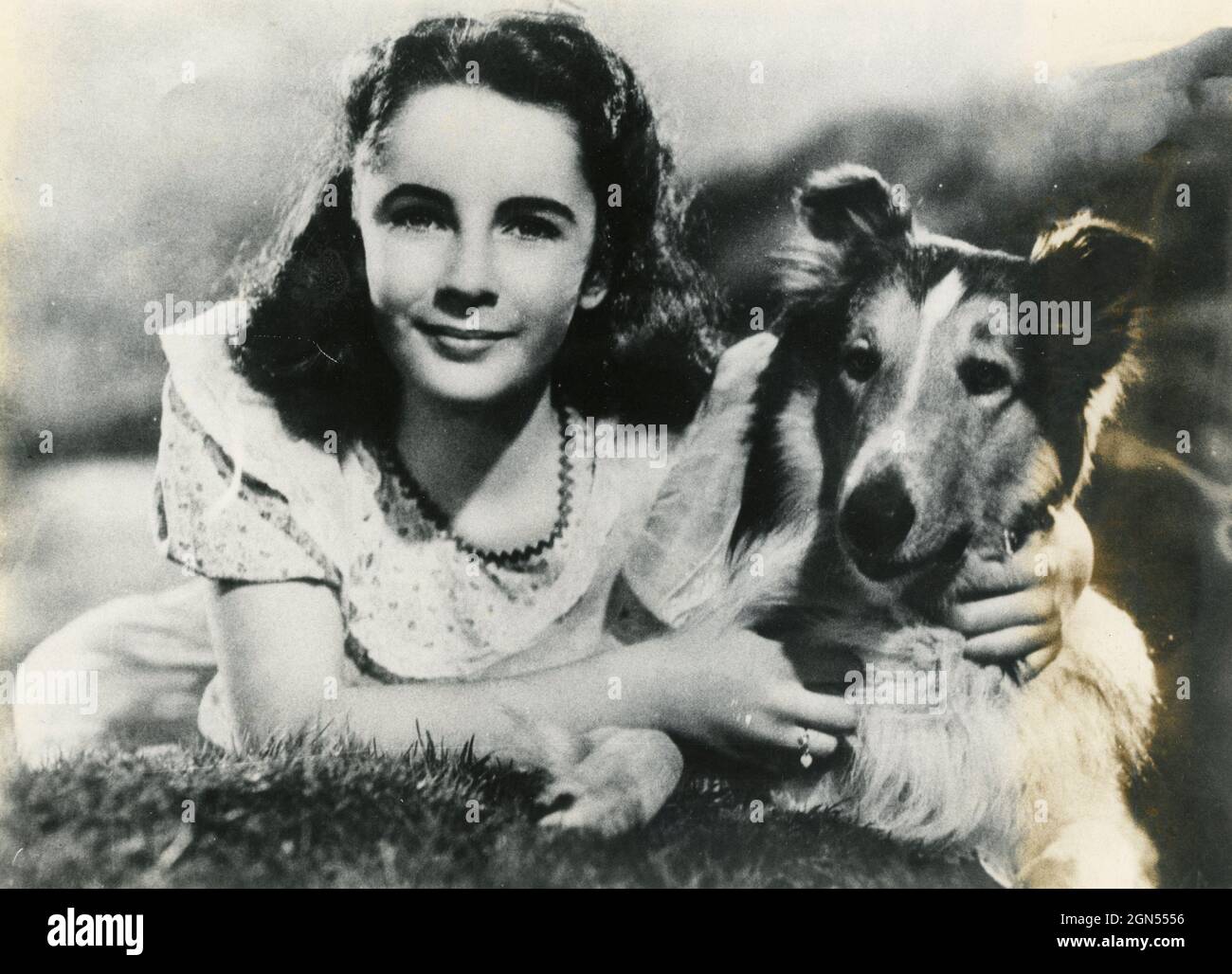 British-American actress Liz Taylor in the movie Lessie Come Home, USA ...