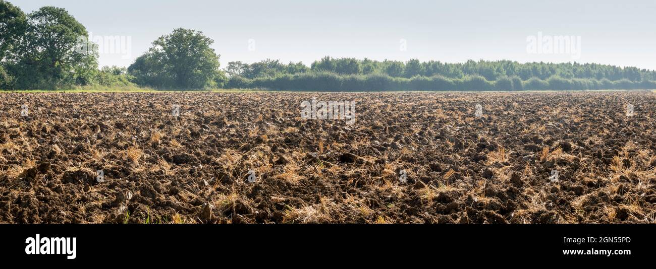 Panorama of heavily ploughed field showing large areas of turned soil ...