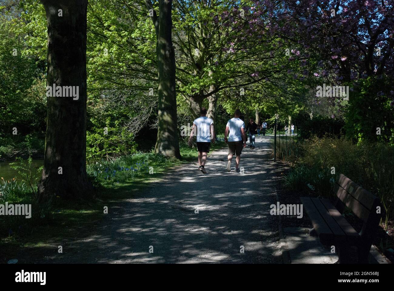 Summertime, People Walking in a Park, Park Bench, Shrubbery and ...