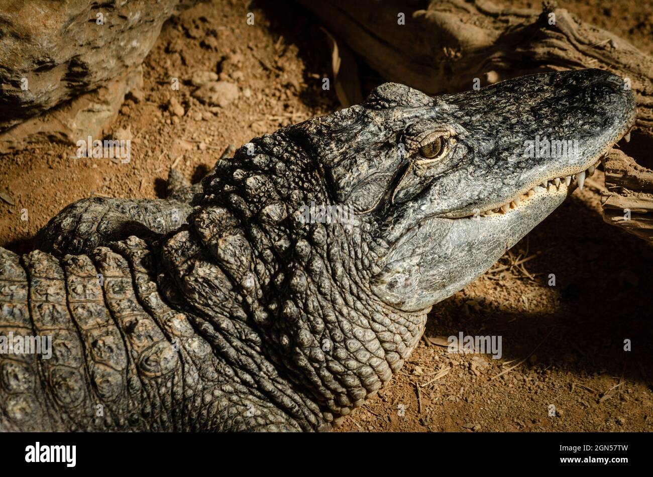 Steve dontsios photography hi-res stock photography and images - Alamy