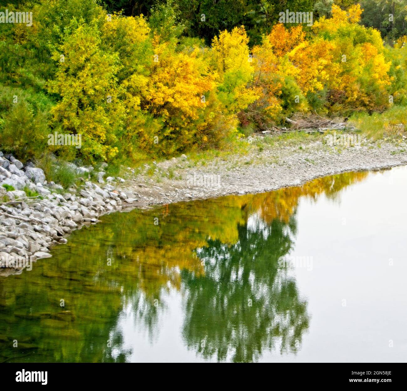 Autumn Calgary Zoo Alberta Stock Photo - Alamy