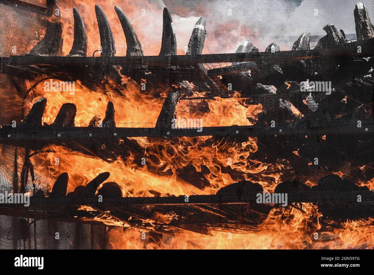 467 horns hi-res stock photography and images - Alamy