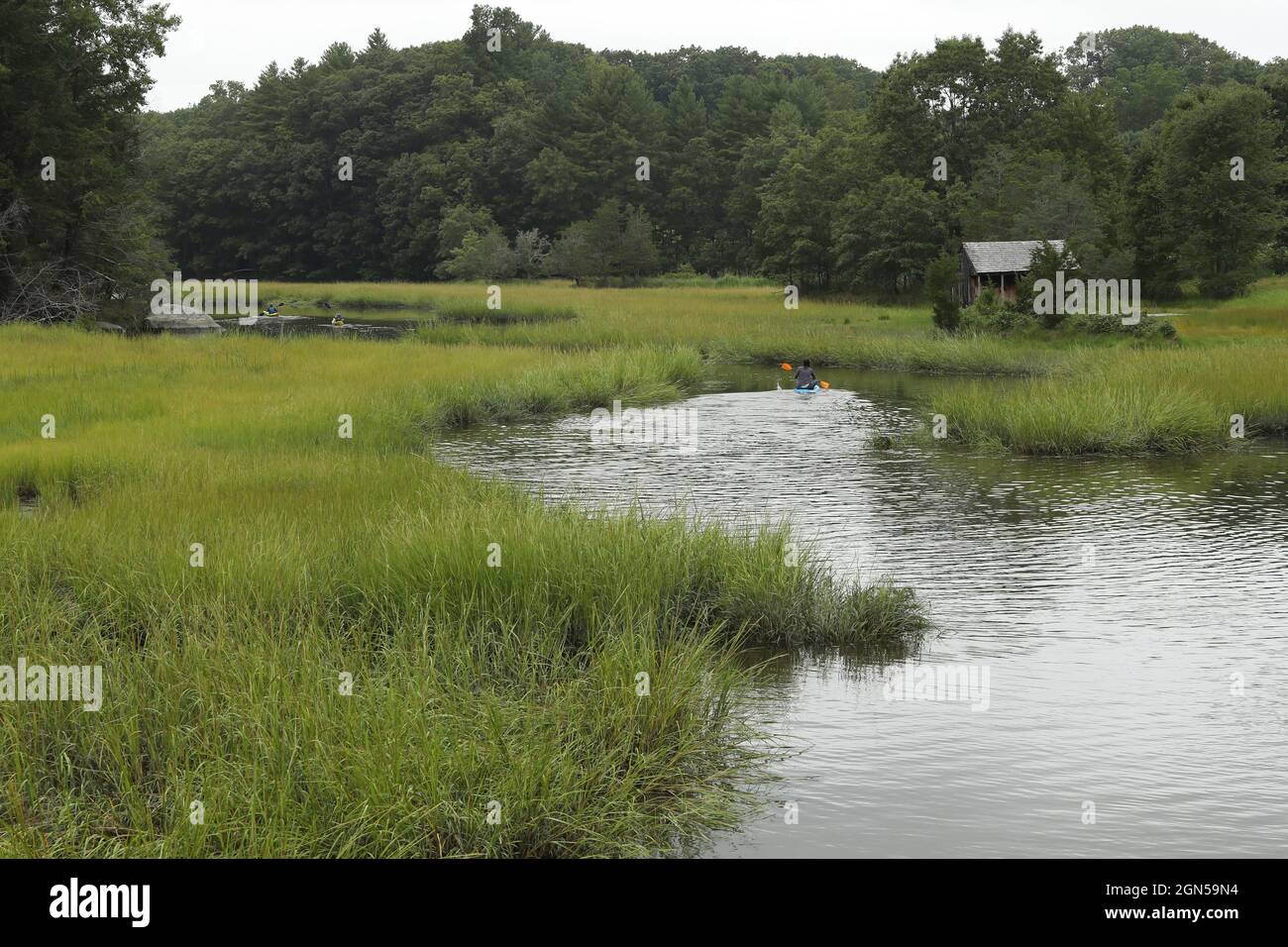 Kayakers paddle along the Oyster River near Great Bay in Durham, NH ...
