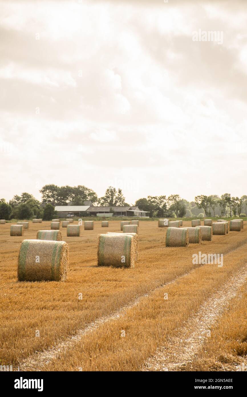 Life in the Countryside Stock Photo - Alamy