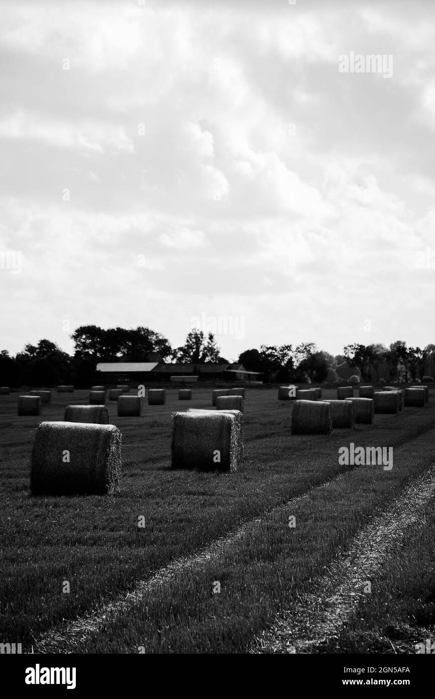 Life in the Countryside Stock Photo - Alamy