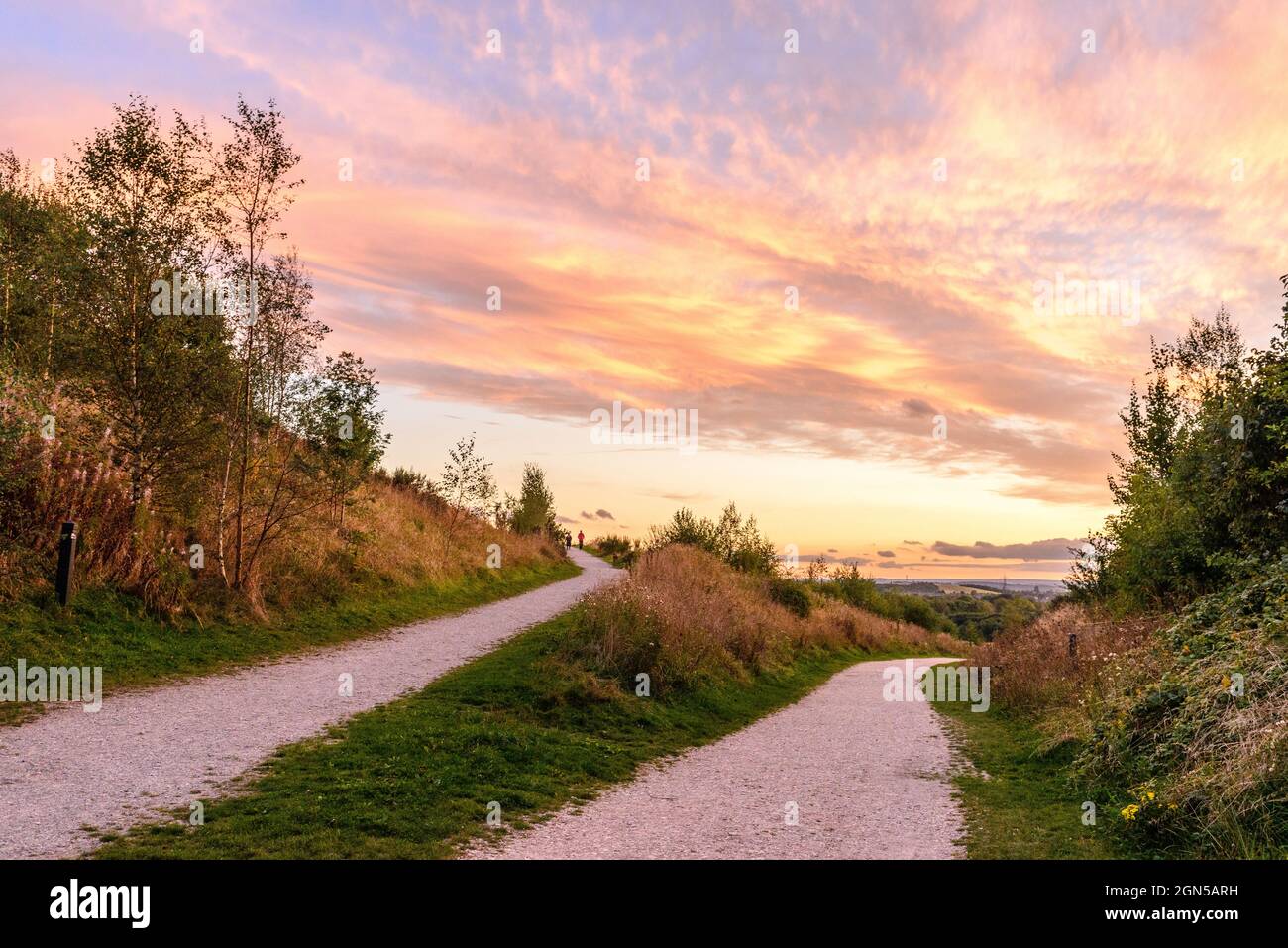 Rabbit ings hi-res stock photography and images - Alamy