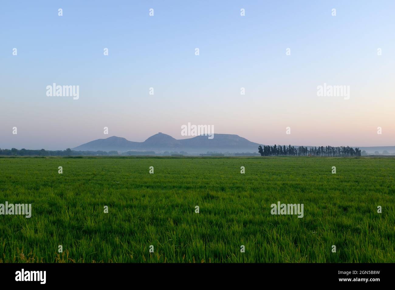 Field of massive color hi-res stock photography and images - Alamy