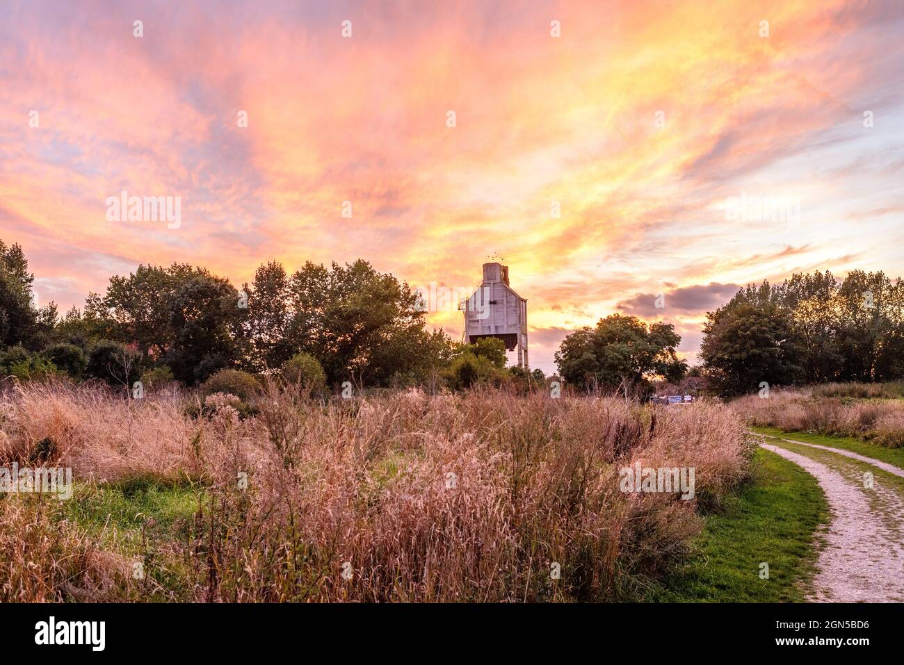 Rabbit ings hi-res stock photography and images - Alamy