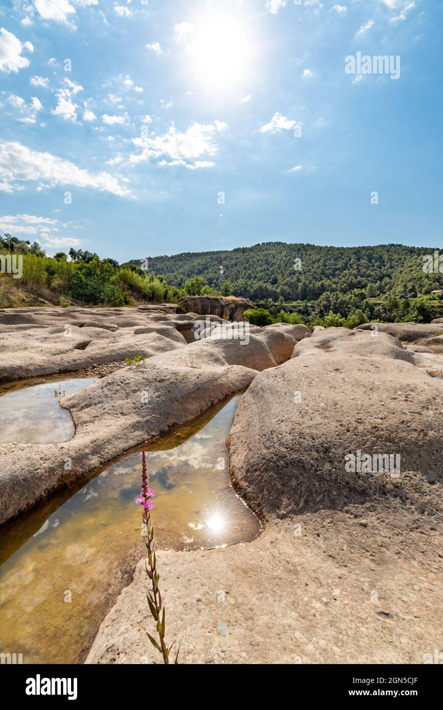 Water-worn rocks in creek with sun reflection Stock Photo - Alamy