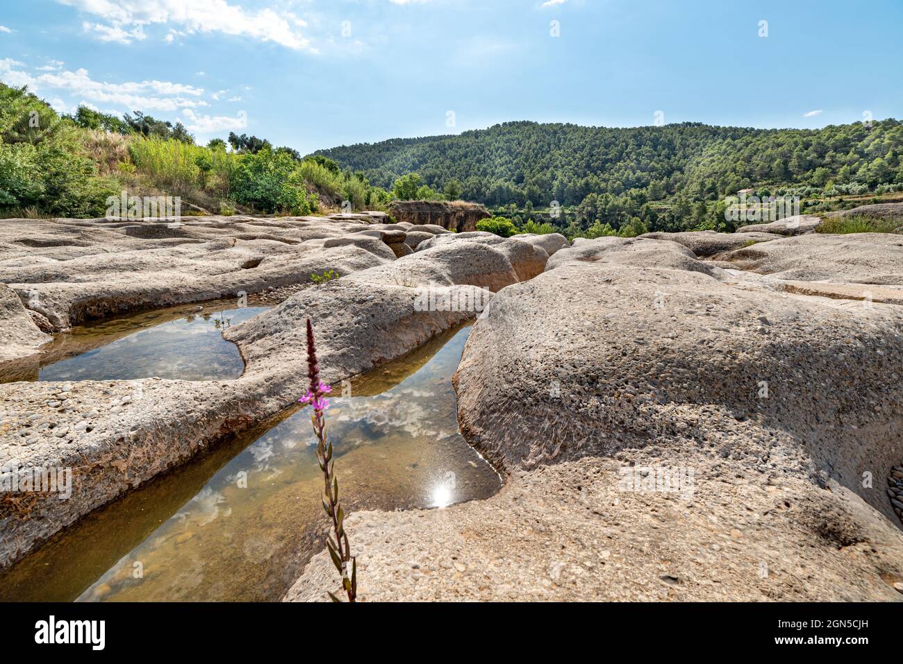 Water-worn rocks in creek with sun reflection Stock Photo - Alamy