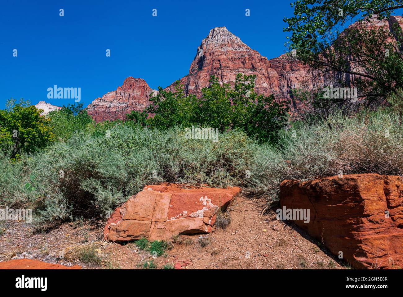 Beautiful view landscape zion national hi-res stock photography and ...