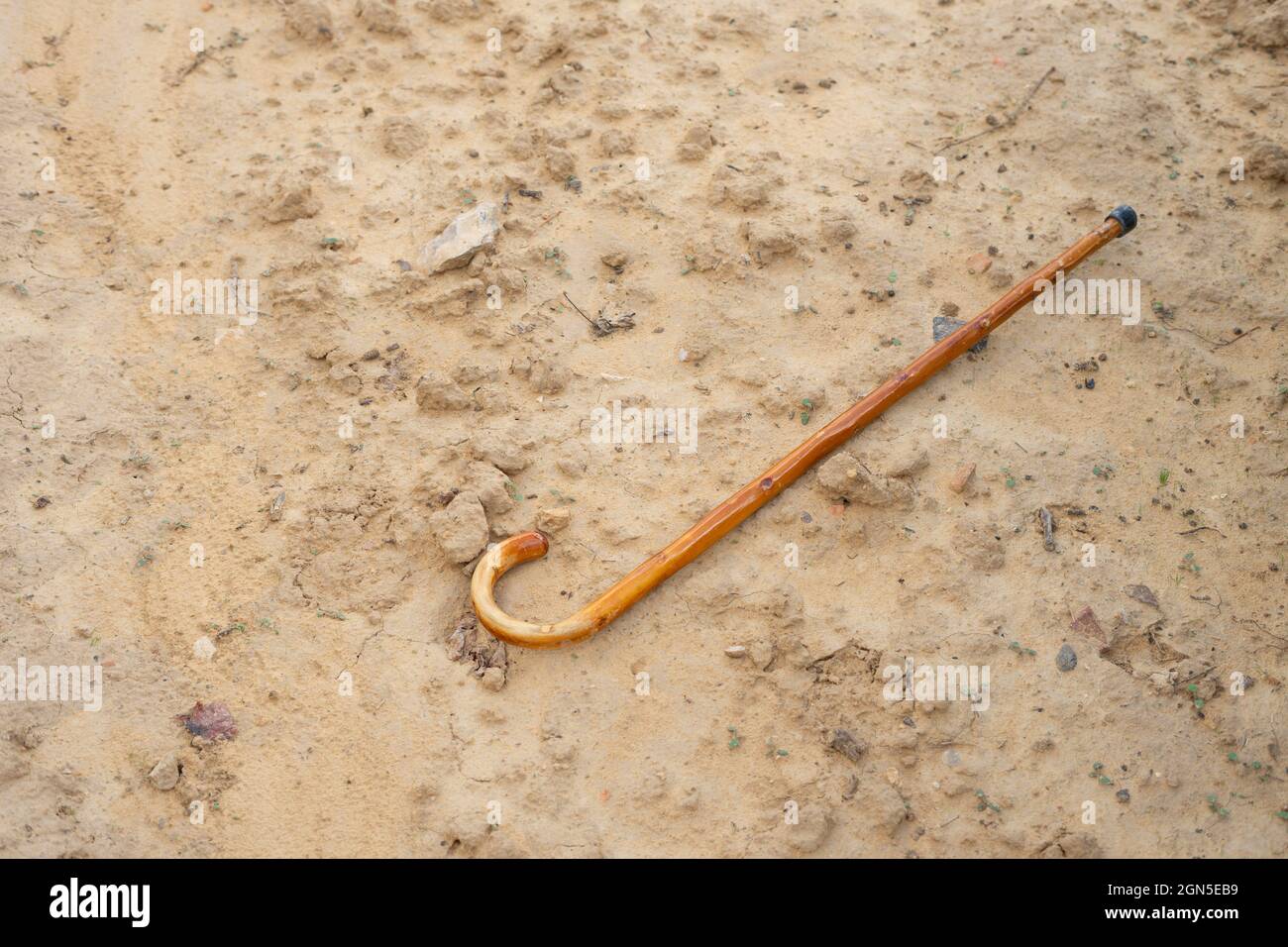 wooden stick lying on the ground in the field Stock Photo - Alamy