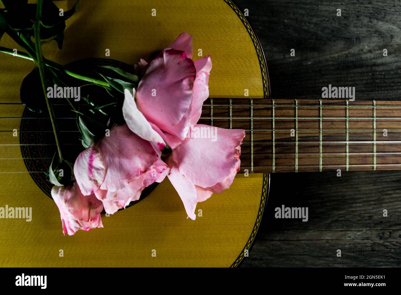 Acoustic guitar roses hi-res stock photography and images - Alamy