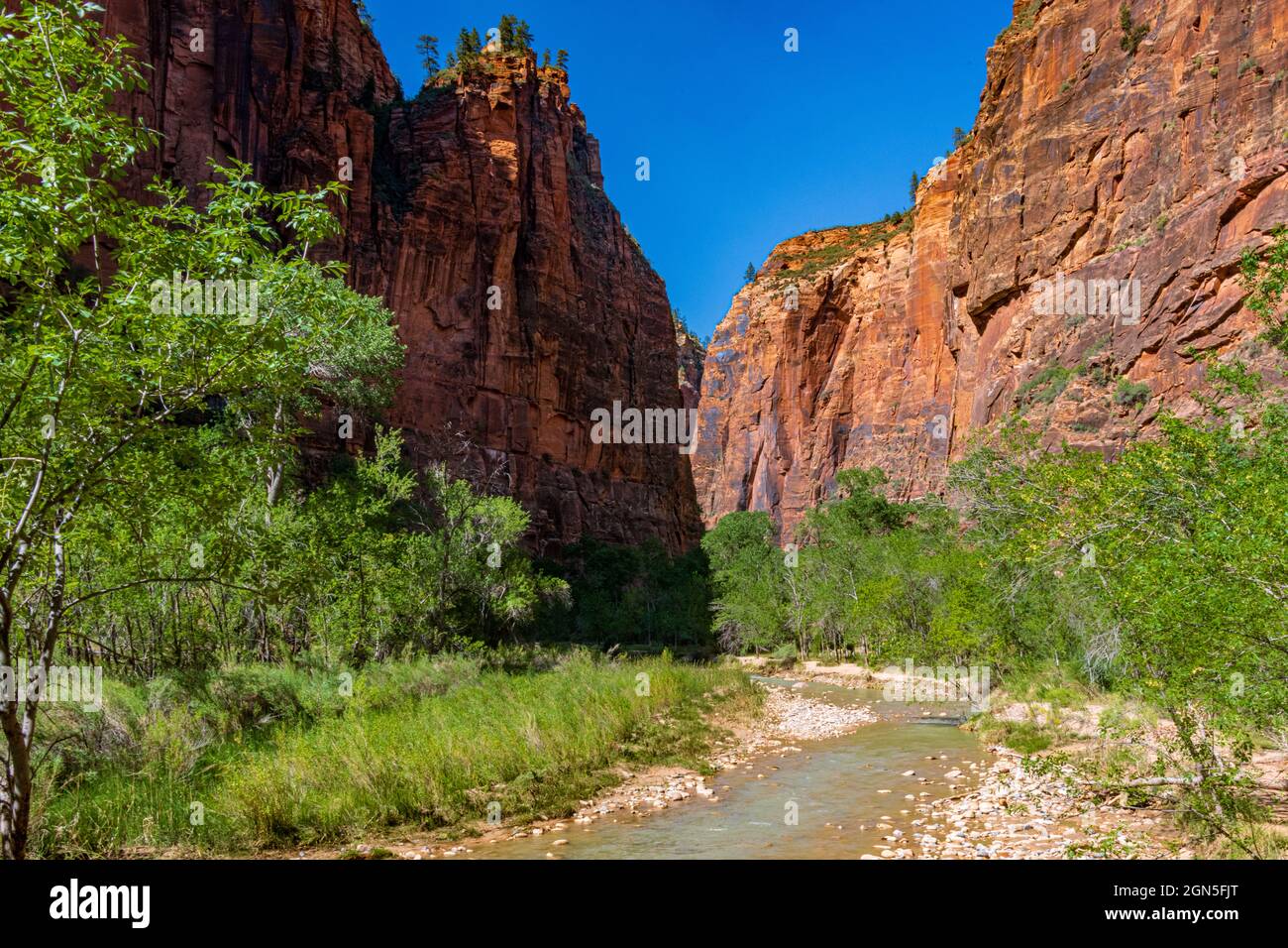 The Virgin River flows through Zion National Park and the colors of ...