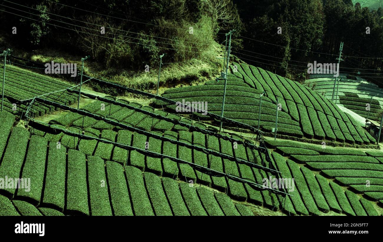 Kyoto green tea uji hi-res stock photography and images - Alamy