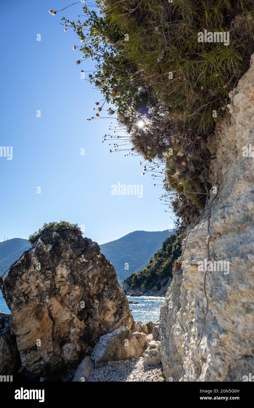 Through greenery hi-res stock photography and images - Alamy