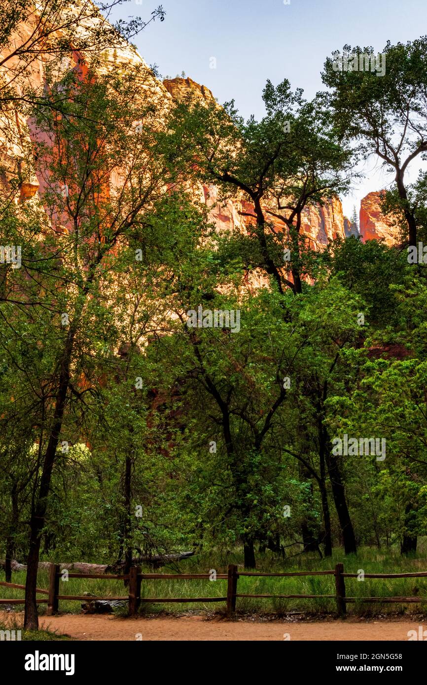 The Virgin River flows through Zion National Park and the colors of ...