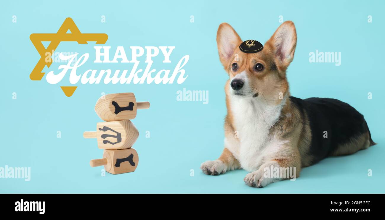Greeting card for Happy Hannukah with funny Jewish dog Stock Photo - Alamy
